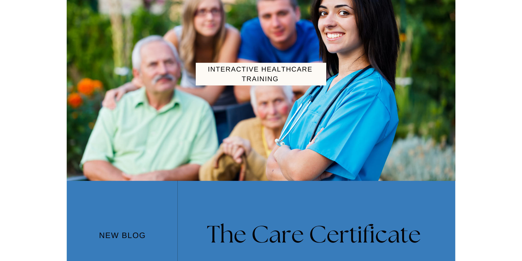 The Care Certificate: Elevating Healthcare Professionals - Interactive ...