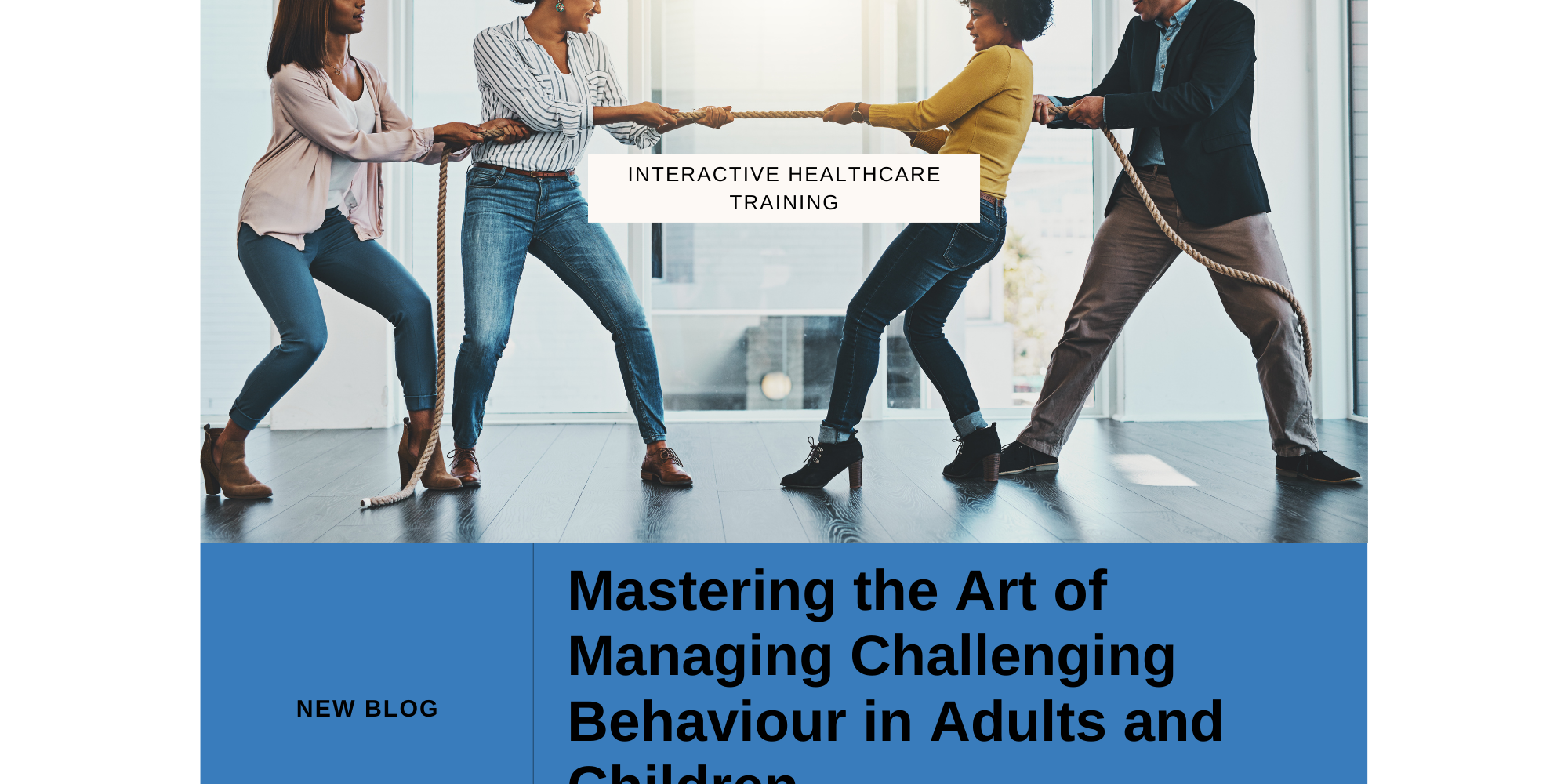 Mastering the Art of Managing Challenging Behaviour in Adults and ...